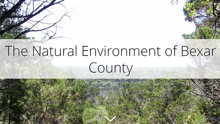 The Seed of Texas: An Interactive Exploration of Bexar County