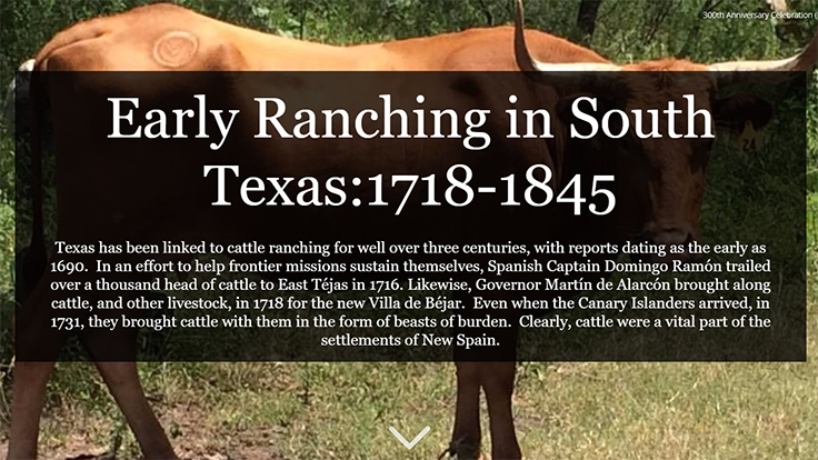 The Seed of Texas: An Interactive Exploration of Bexar County